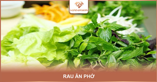 10 Loại Rau Thơm Ăn Phở: Giòn, Ngon, Bắt buộc phải có,